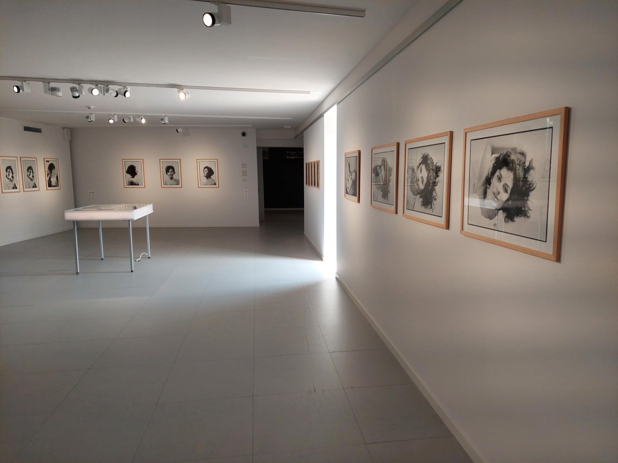 « Pierre Dandoy photographs Evelyne Axell » exhibition at the Delta in ...